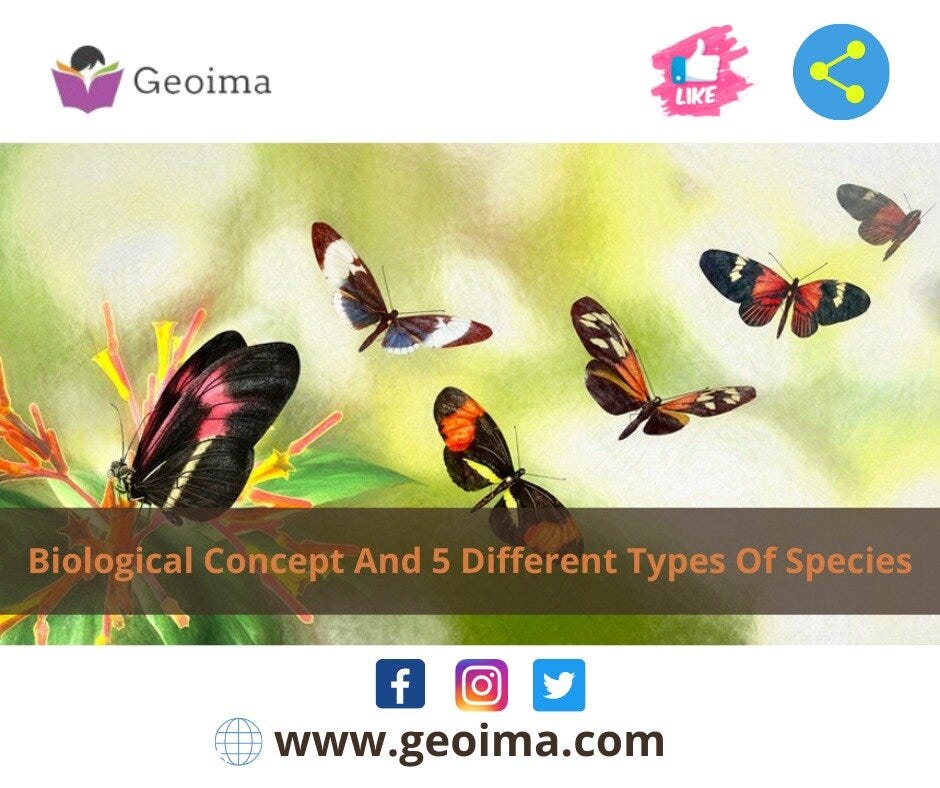 Ecosystem-How Many Types Of Food Chain Are There & It’s 2 Important ...