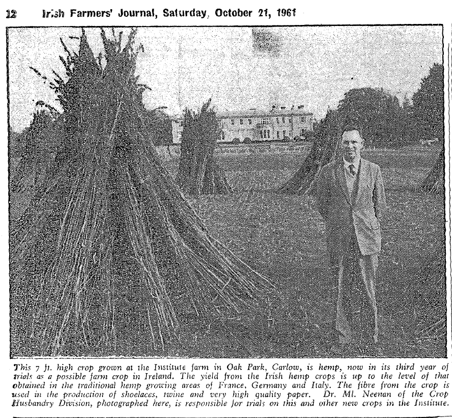 Sir. William Brooke O’Shaughnessy - Medical Cannabis Pioneer | by Irish ...