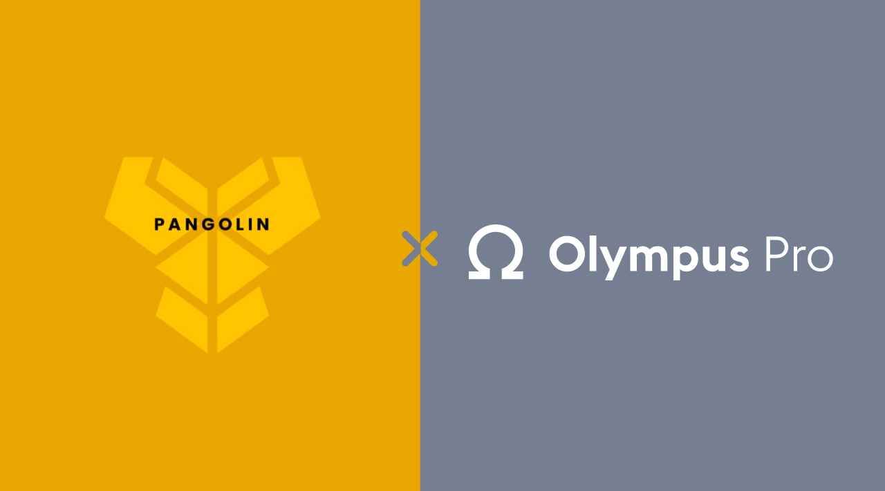Meet the Team: Stephen Novenstern | by Pangolin Exchange | Pangolin ...