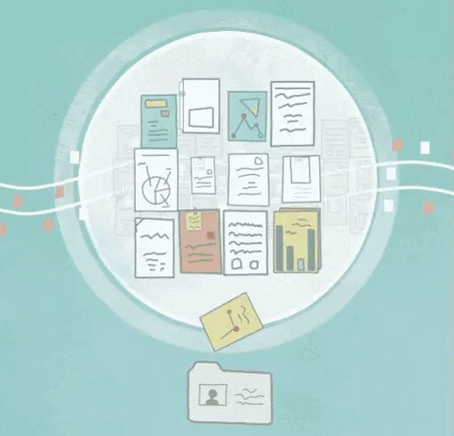 Case study: Local E-commerce — Project 2 | by Anaïs Brunel | Medium