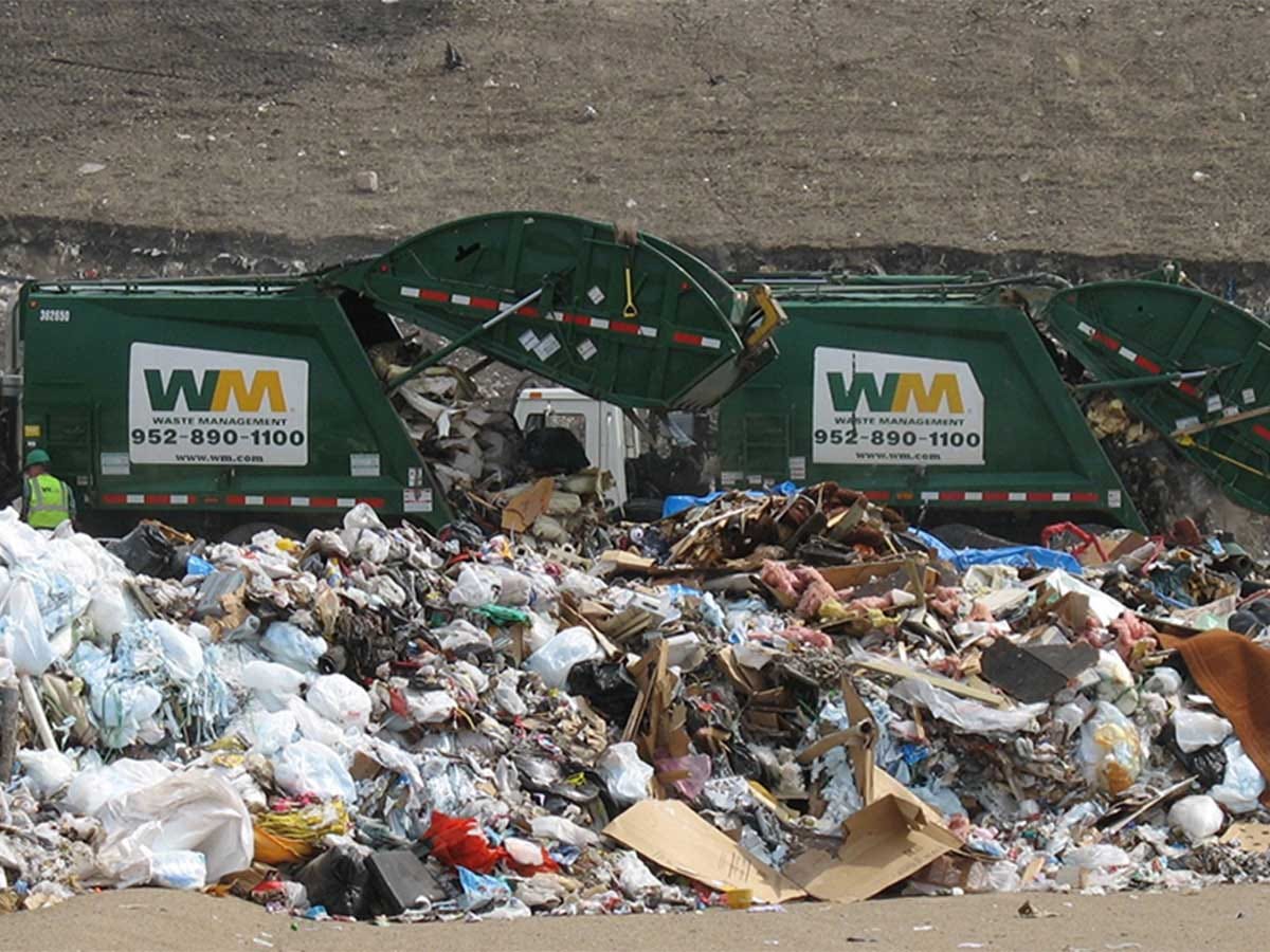 Discover the Shocking Scale of Food Waste in Australia! | by Ezyskips ...