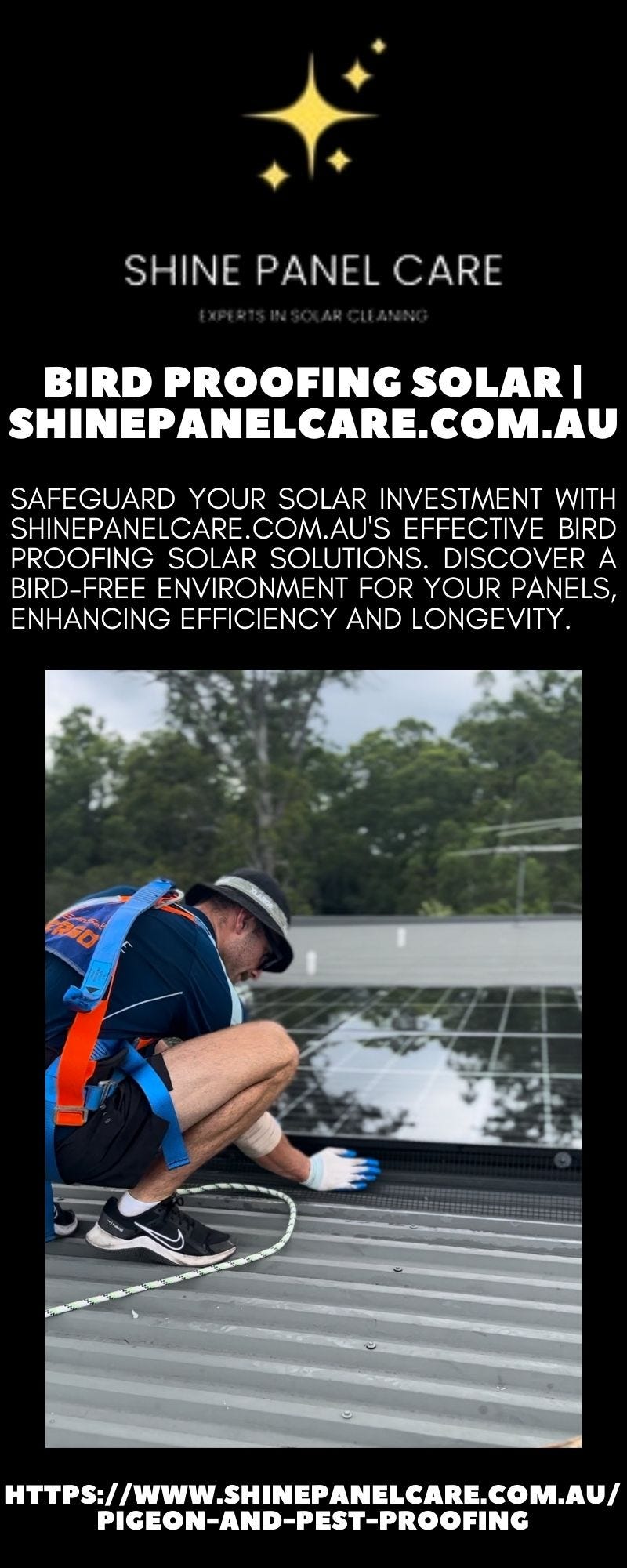 Bird Proofing Solar | shinepanelcare.com.au - Shinepanelcare - Medium