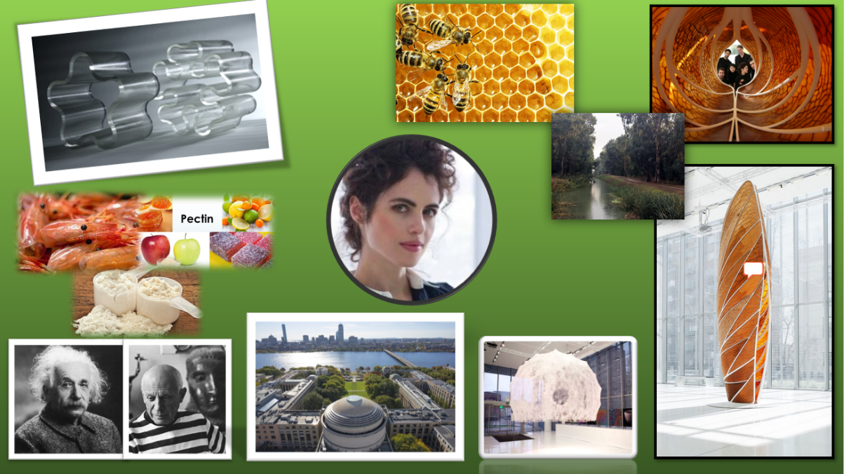 JONATHAN HOEFLER. S2E5, ABSTRACT — A TYPEFACE DESIGNER | by Aishani Srivastava | Medium