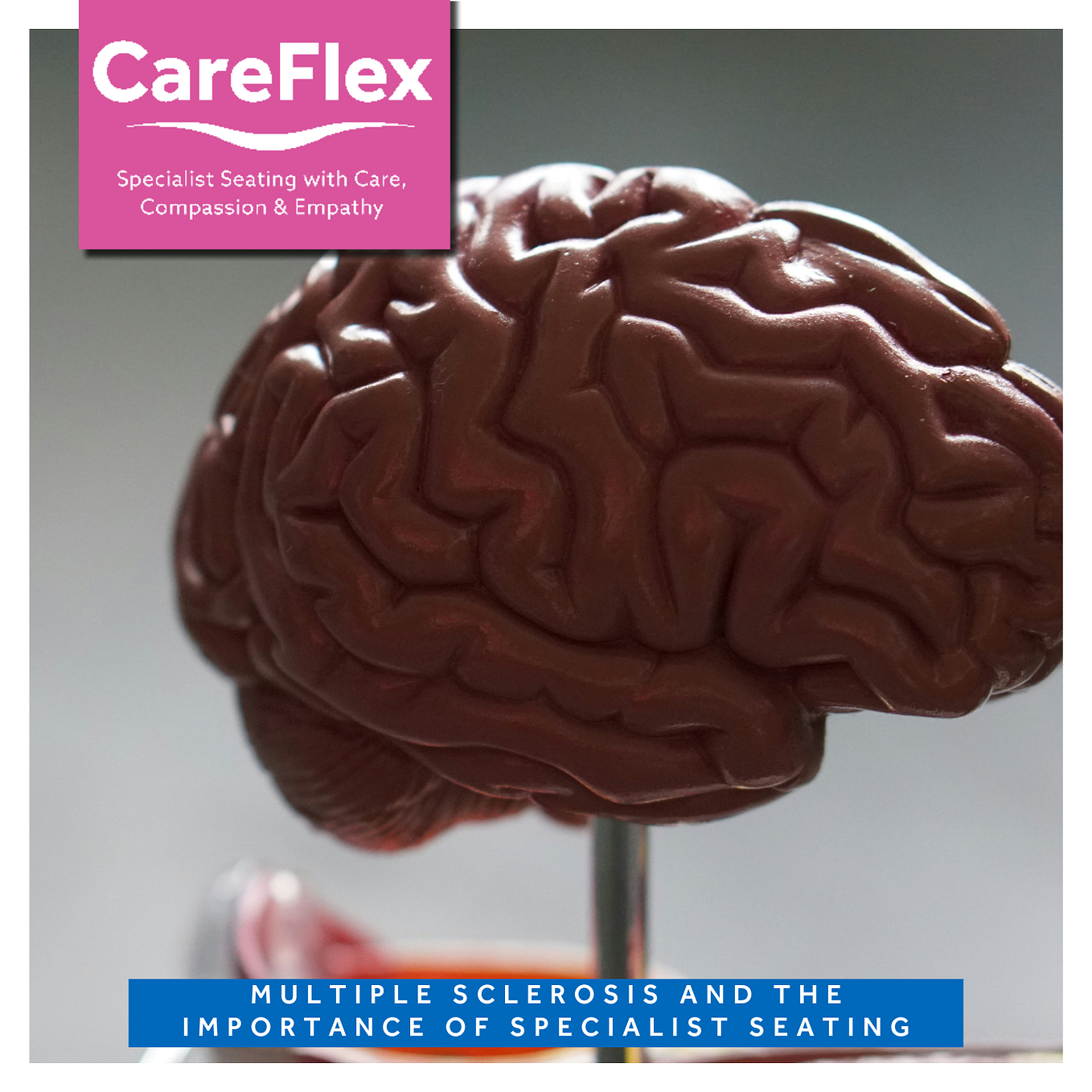 Obesity and The Vital Role of Specialist Seating | by CareFlex | Aug ...