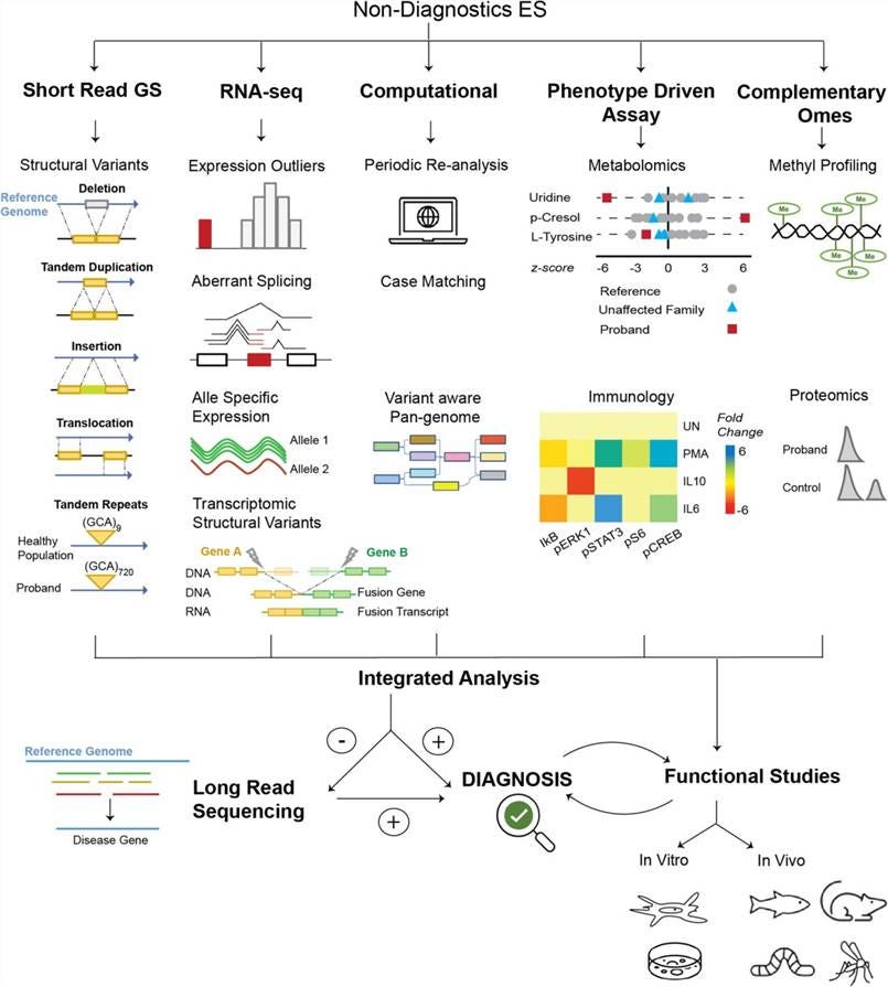 Rare Disease Research: from Diagnostic Development to Small Molecule ...