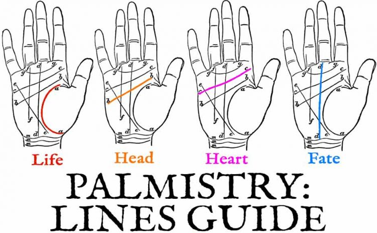 Mount of Jupiter and Lines Sign-On Jupiter in Palmistry | by Iva India ...