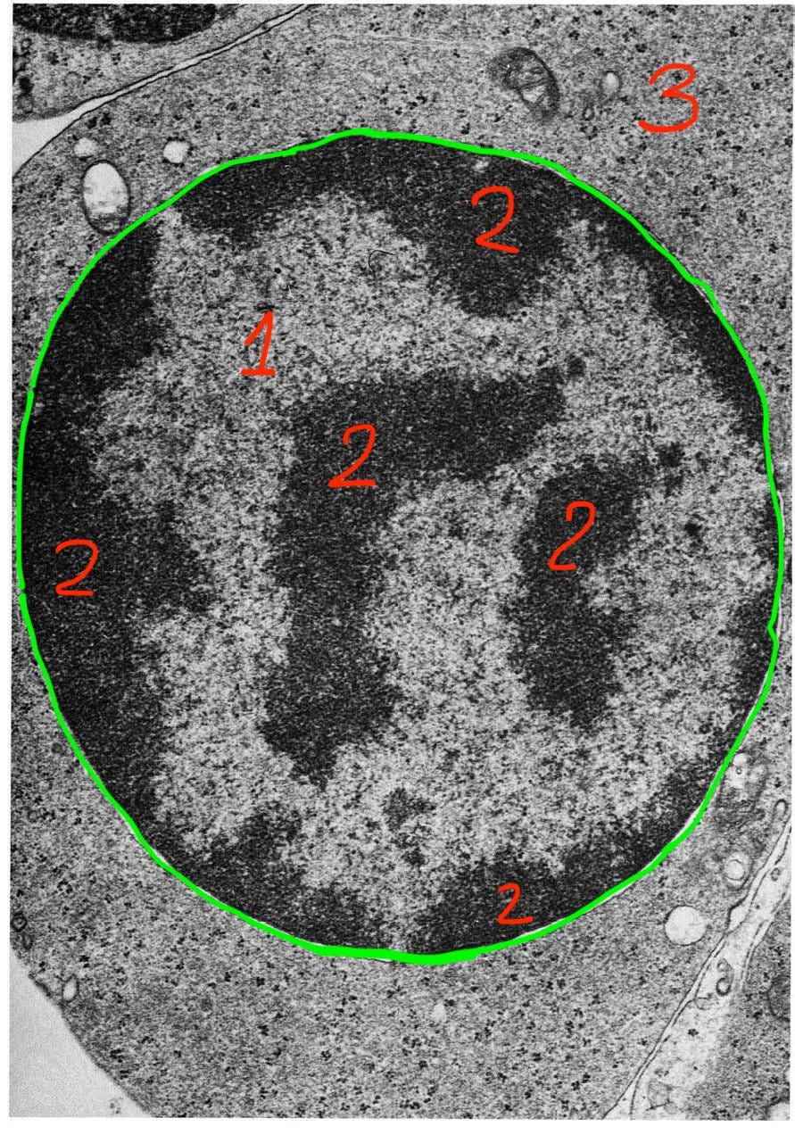 Python’s __init__ Method and self: The Key to Understanding Object ...