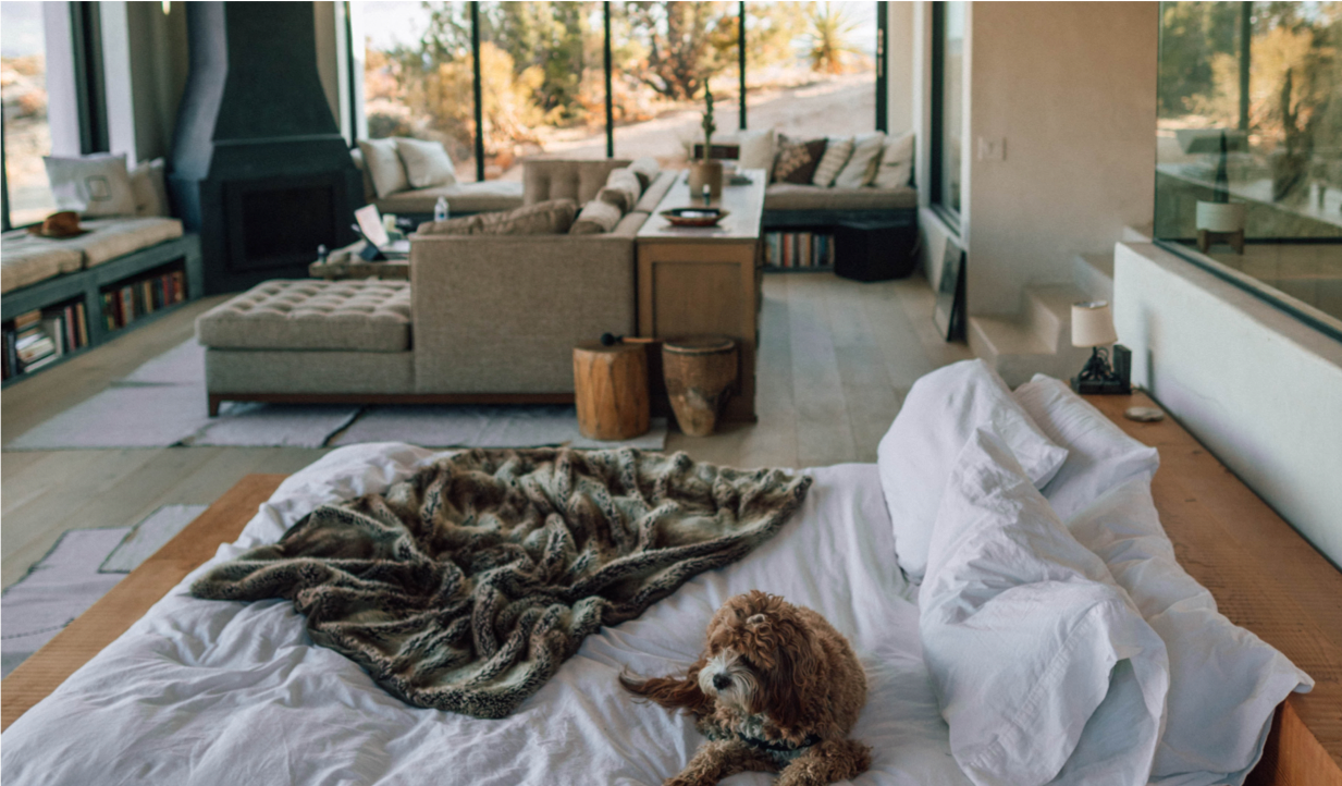 Find non-linear relationships (logarithmic) in python — The case for ...