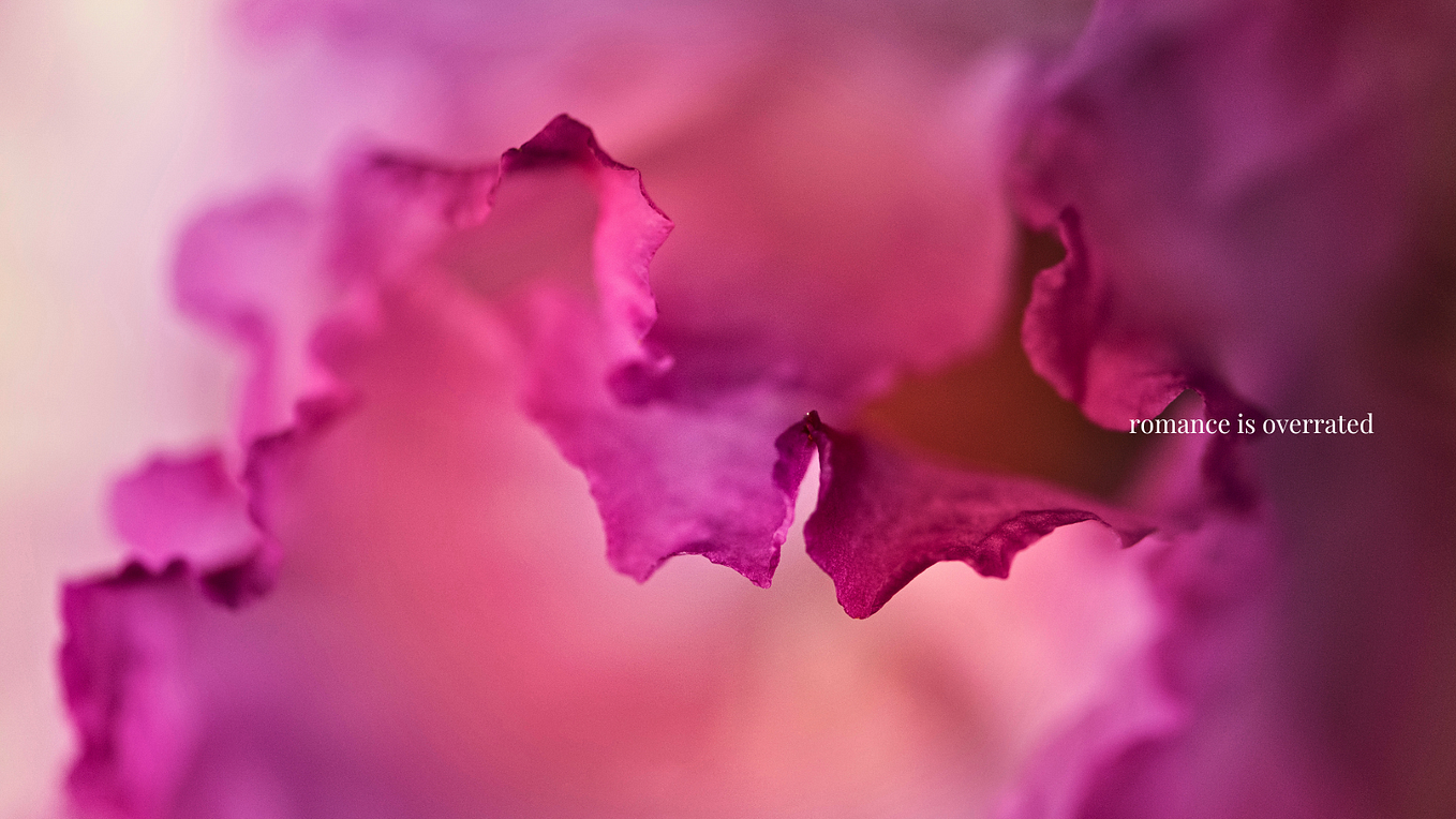 the absence of a wallflower| contentment through life | Medium