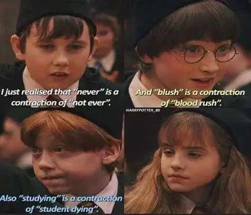 20 Funniest Hamster Memes for World Hamster Day - Chameleon Memes - Medium