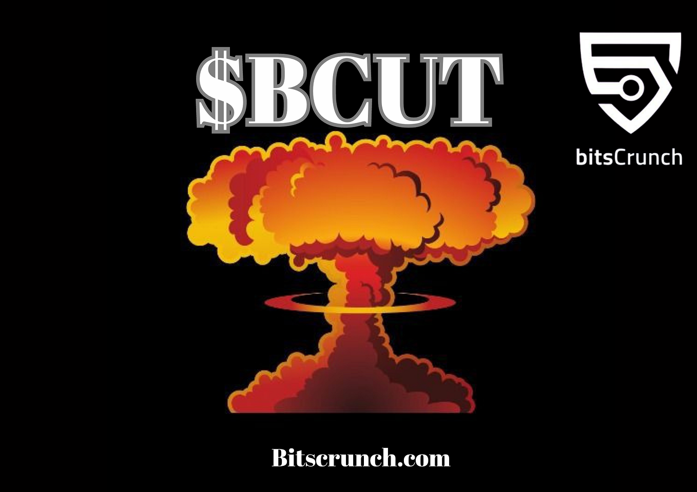 BITSCRUNCH….$BCUT..smart contract, vesting and Technical considerations ...