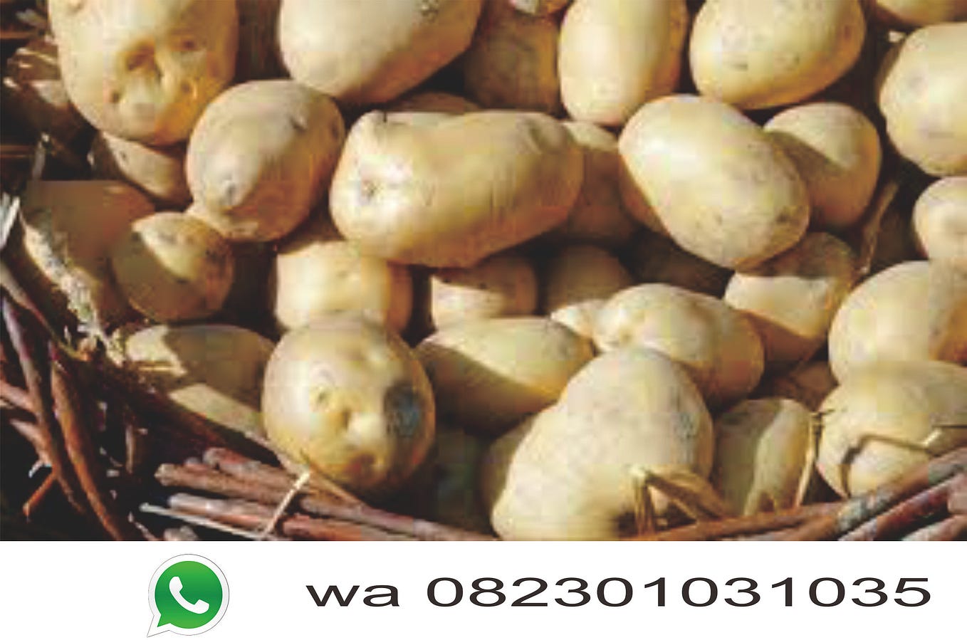 Jual kentang Sidoarjo. melayani penjualan kentang mentah… | by WA ...