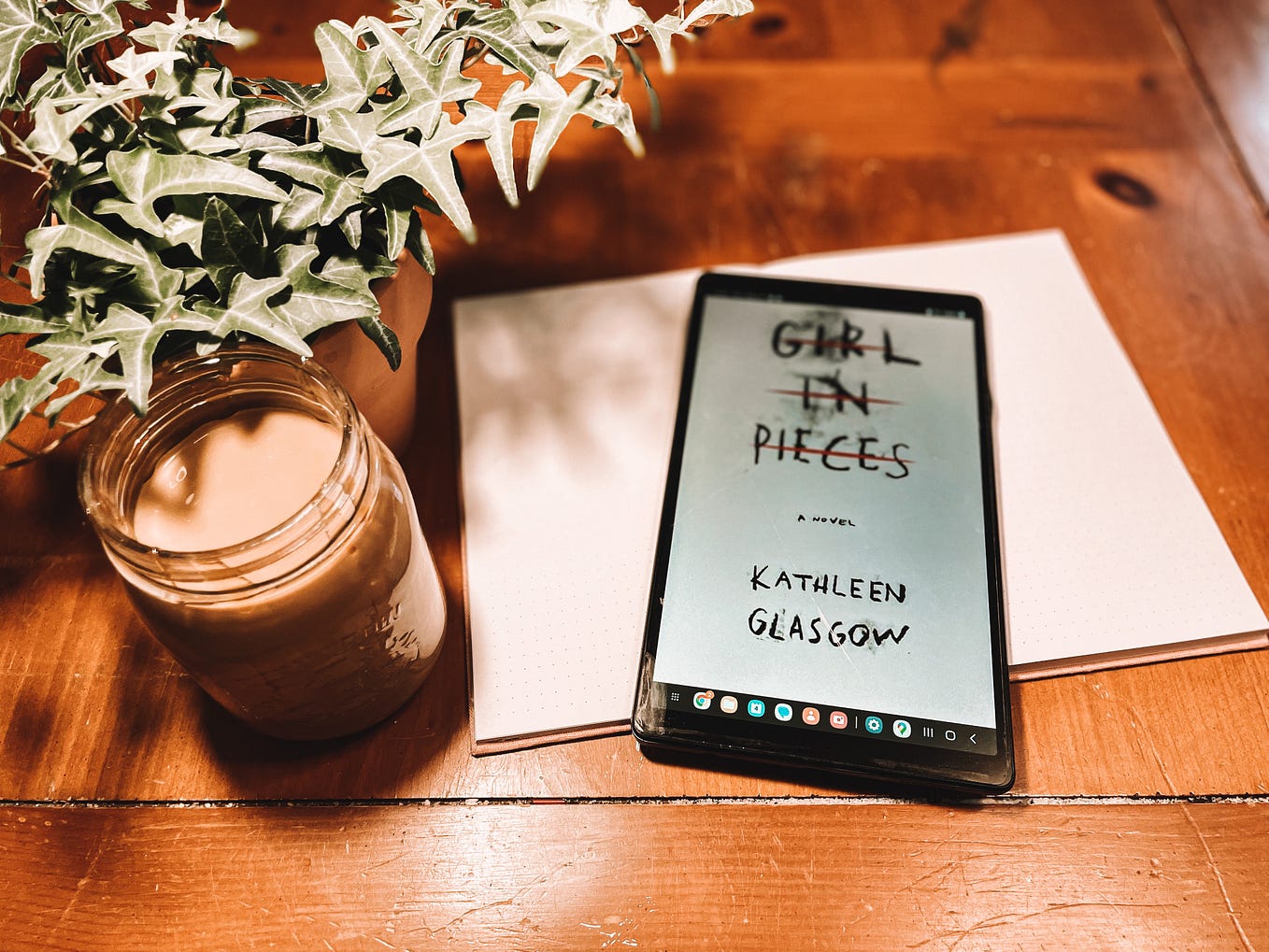 Book Review : Little Stranger by Leigh Rivers | by Stephanie Gillespie | Medium