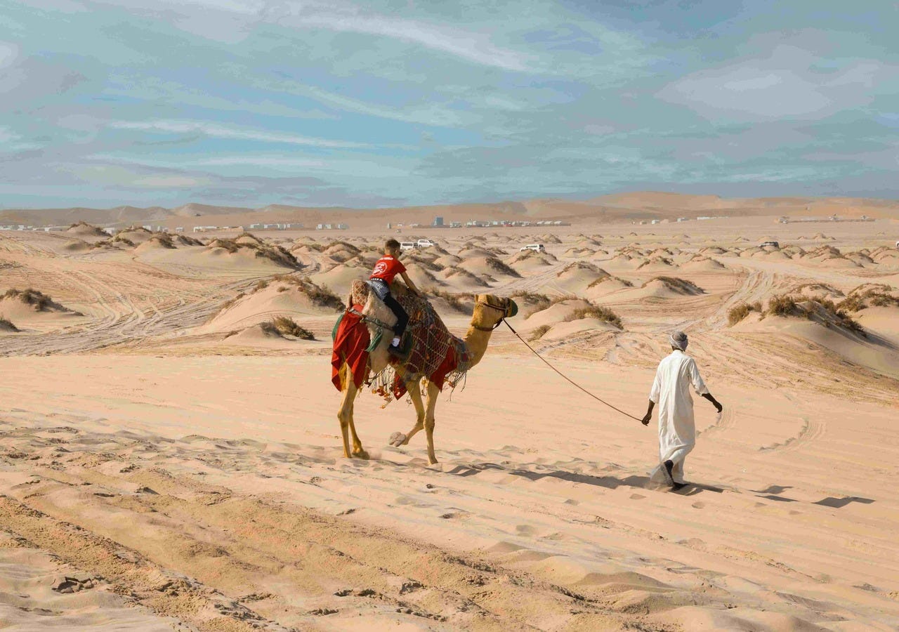 Unlocking the Magic: Desert Safari Tourism Services in Qatar That ...