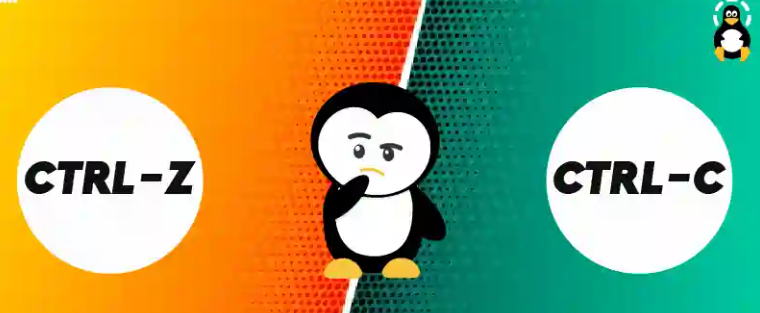 DevOps in Linux — top Command. Linux top command introduction | by Tony | Dev Genius