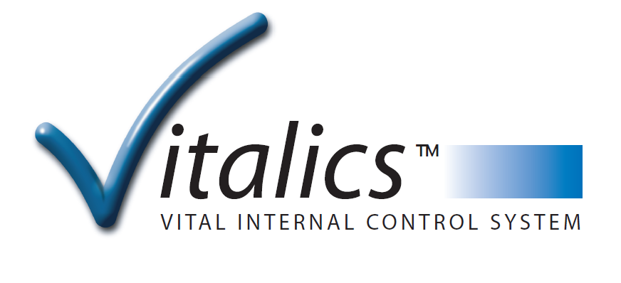 Avail the Free Template for Business Control Procedure | by Vitalics | Medium