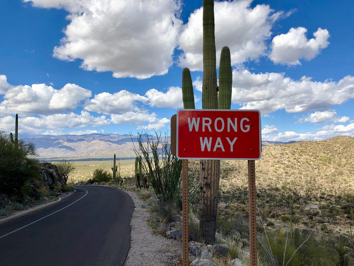 If Congress Repeals Section 230, What Will that Mean for Wikipedia ...