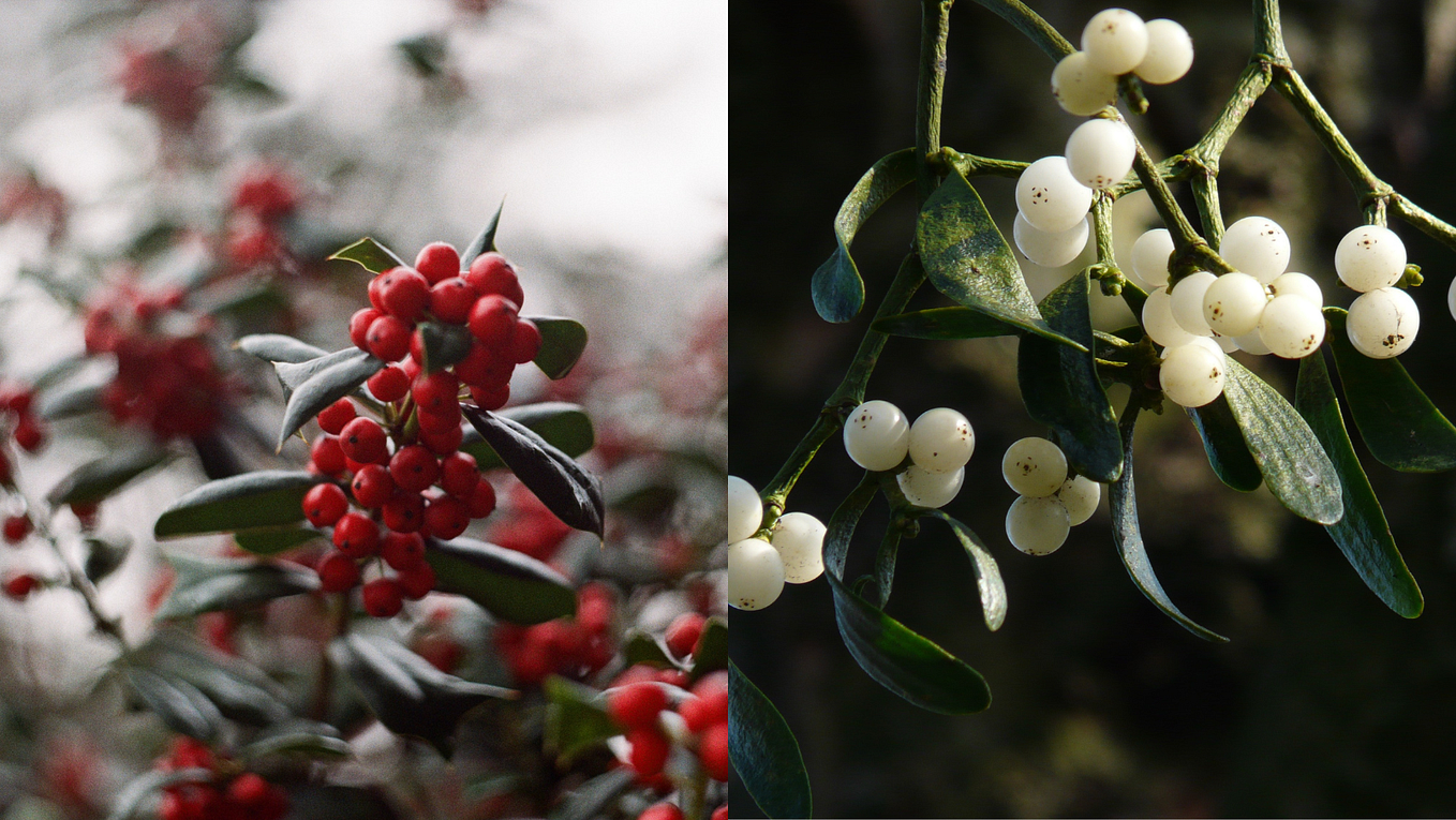 Navigating Life After Leaving a High-Demand Religion: Setting Healthy ...