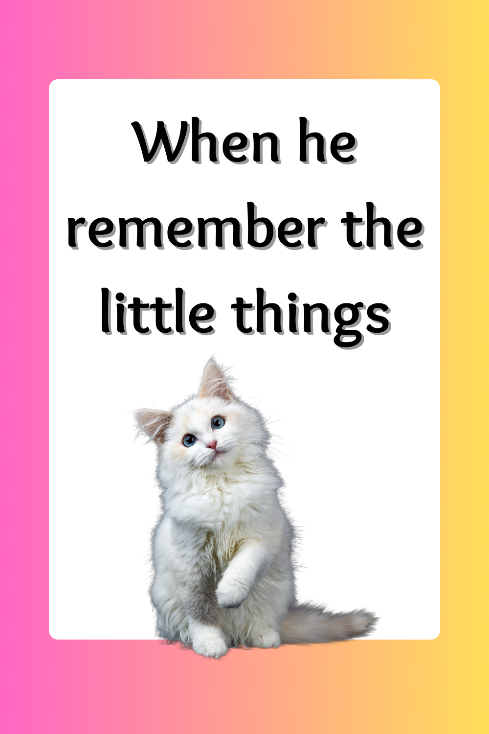 College Memes, Exams. - Monu The Cat - Medium
