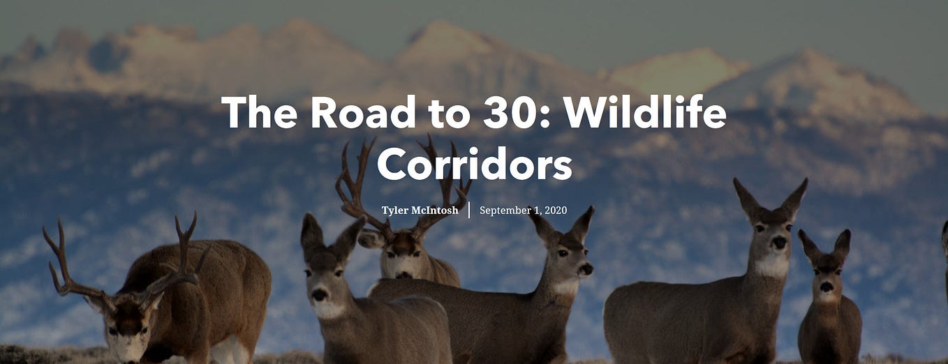 The Road to 30: Private Land Conservation | by Tyler McIntosh ...