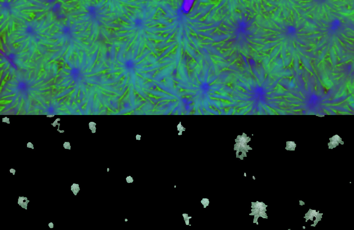 Cannabis Leaf Area Analysis. The First Step in Tokenizing Cannabis ...