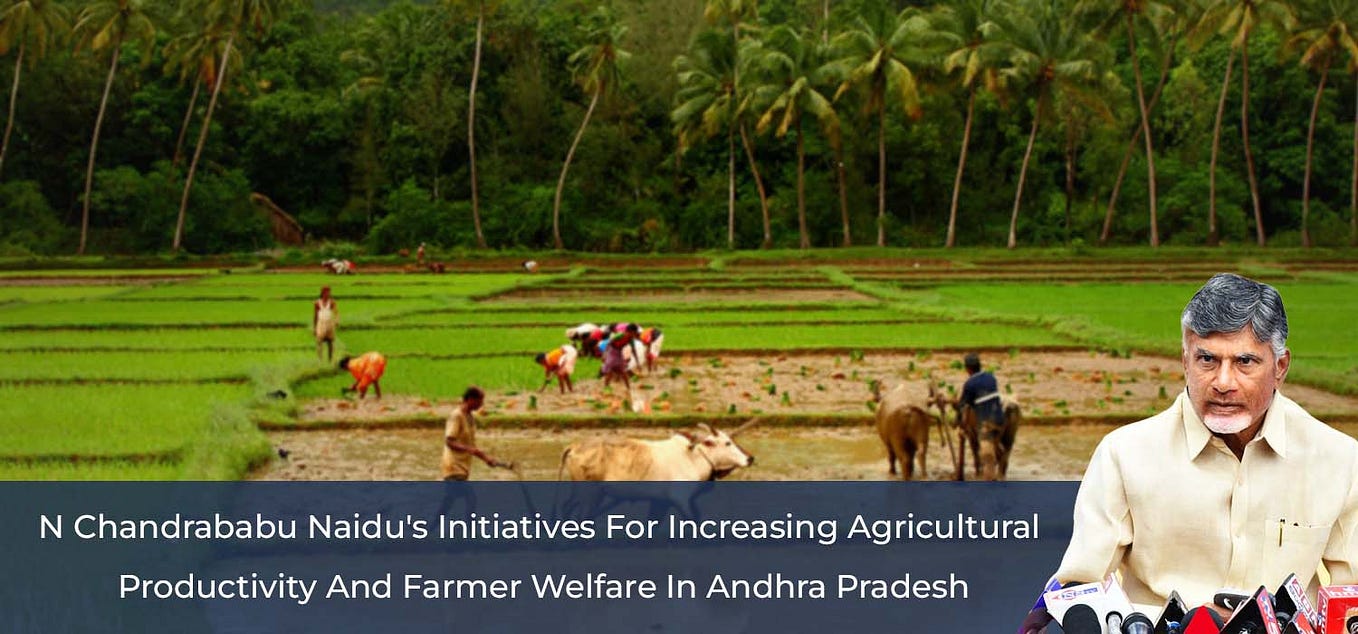 Implementation Of ”She Autos Scheme” By N Chandrababu Naidu To Empower Women in AP | by vasu seo ...