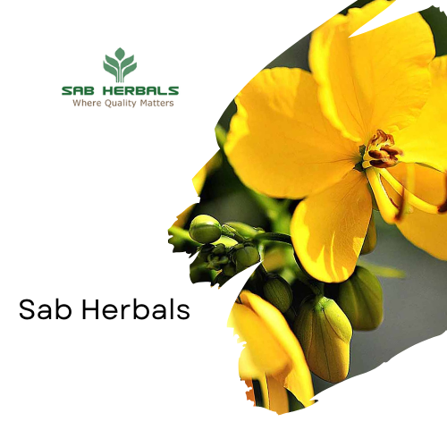 Senna Leaf Extract Manufacturer in India - Sab Herbals - Medium
