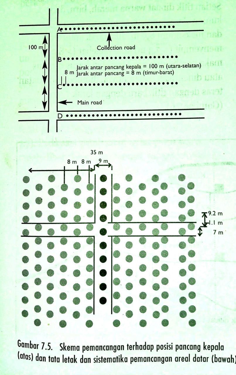 Penataan Kebun. Tujuannya Mengatur tata… | by Didikroziq | Medium