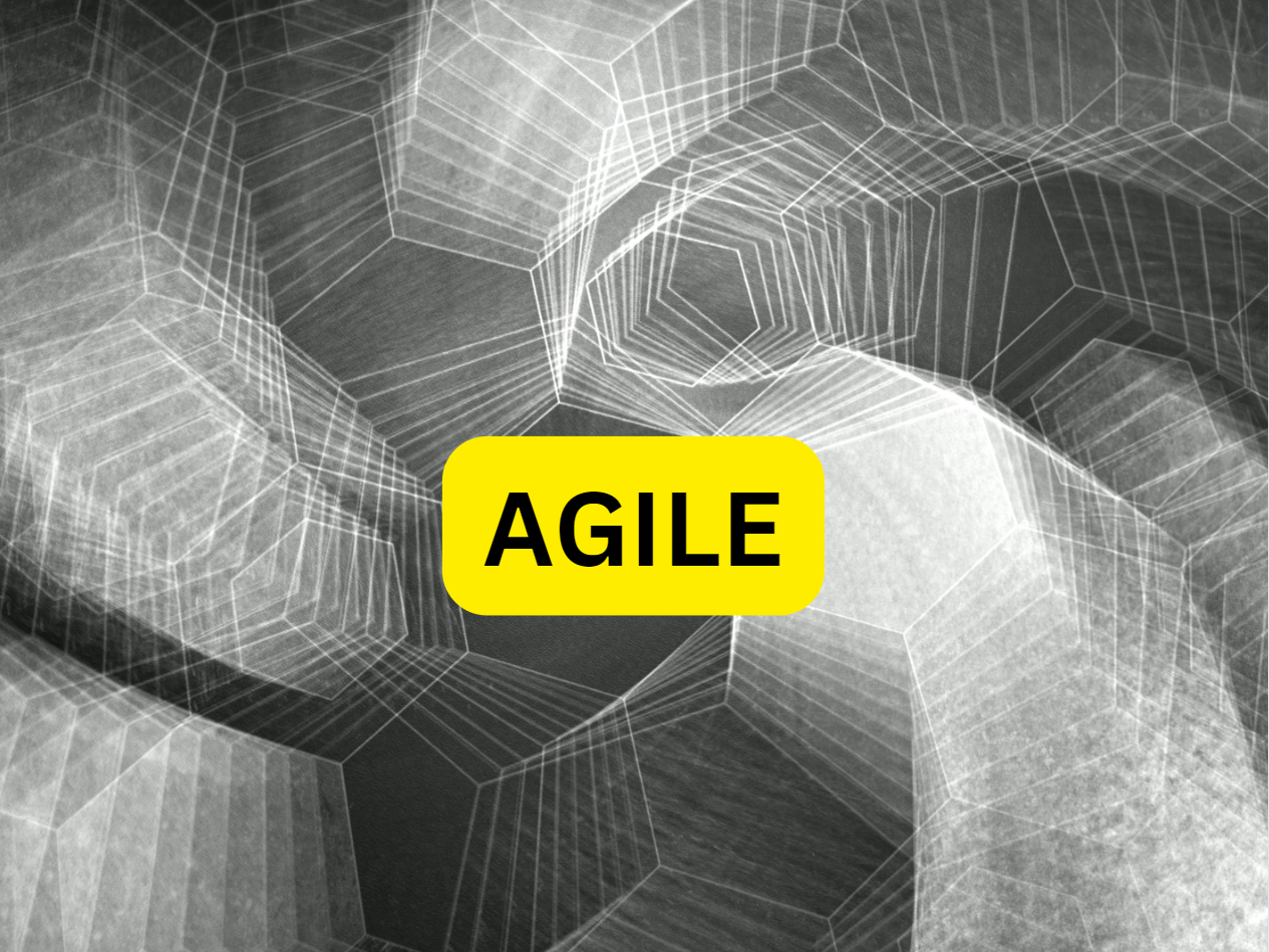 Agile Data Science 2.0: A Guide to Iterative Delivery and Collaboration | by Henry Ha (Here ...
