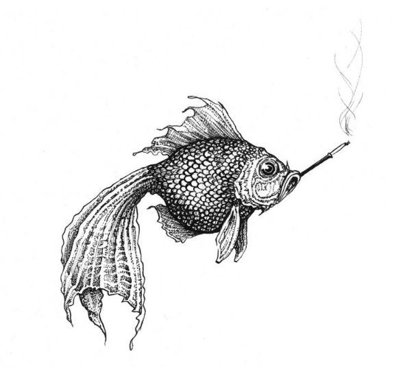 Getting Started with WSL for Bioinformatics — setting up a fully functional (and pretty ...