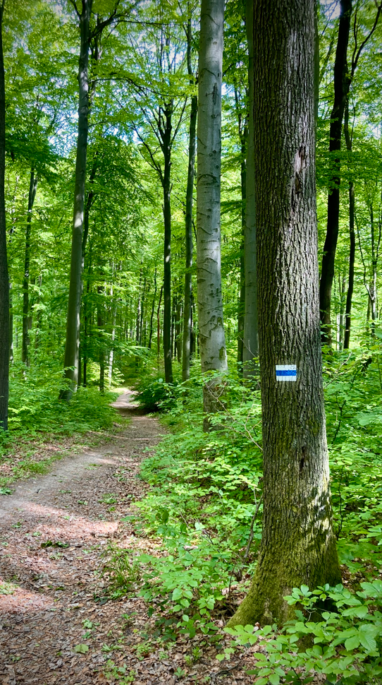 Laundry. and how we could save billions of… | by Carl Tashian | Medium