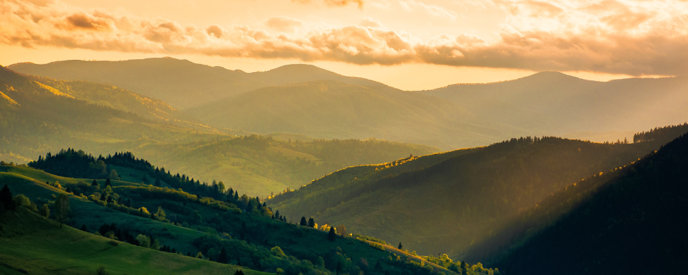 Setting Up a Web Server on CentOS Using Apache HTTP | by Dorothy Glade | Medium