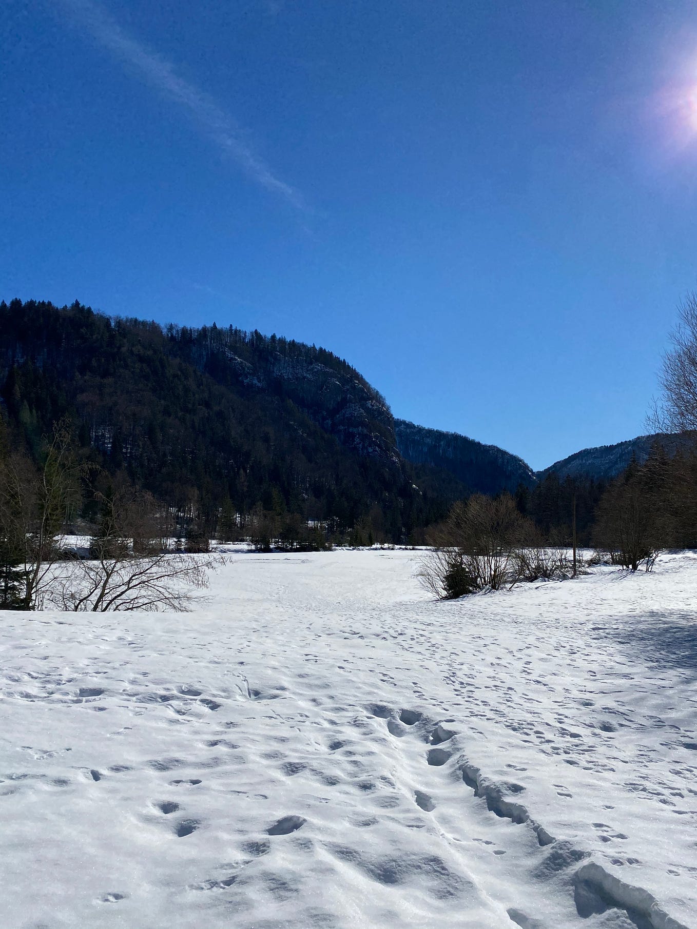 Looking back. I found a draft of my morning routine… | by Jure Rajh ...