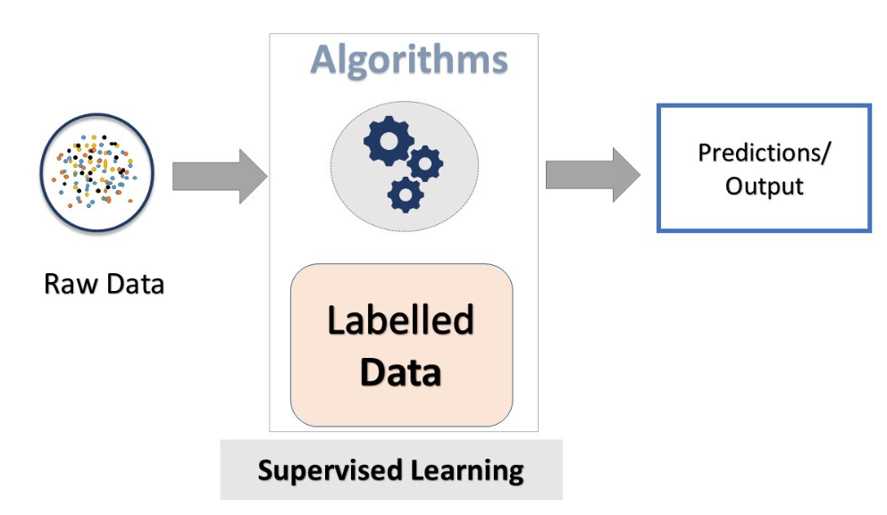 Haar Cascades In Object Detection A Detailed Exploration By Poojitha Kathi Medium
