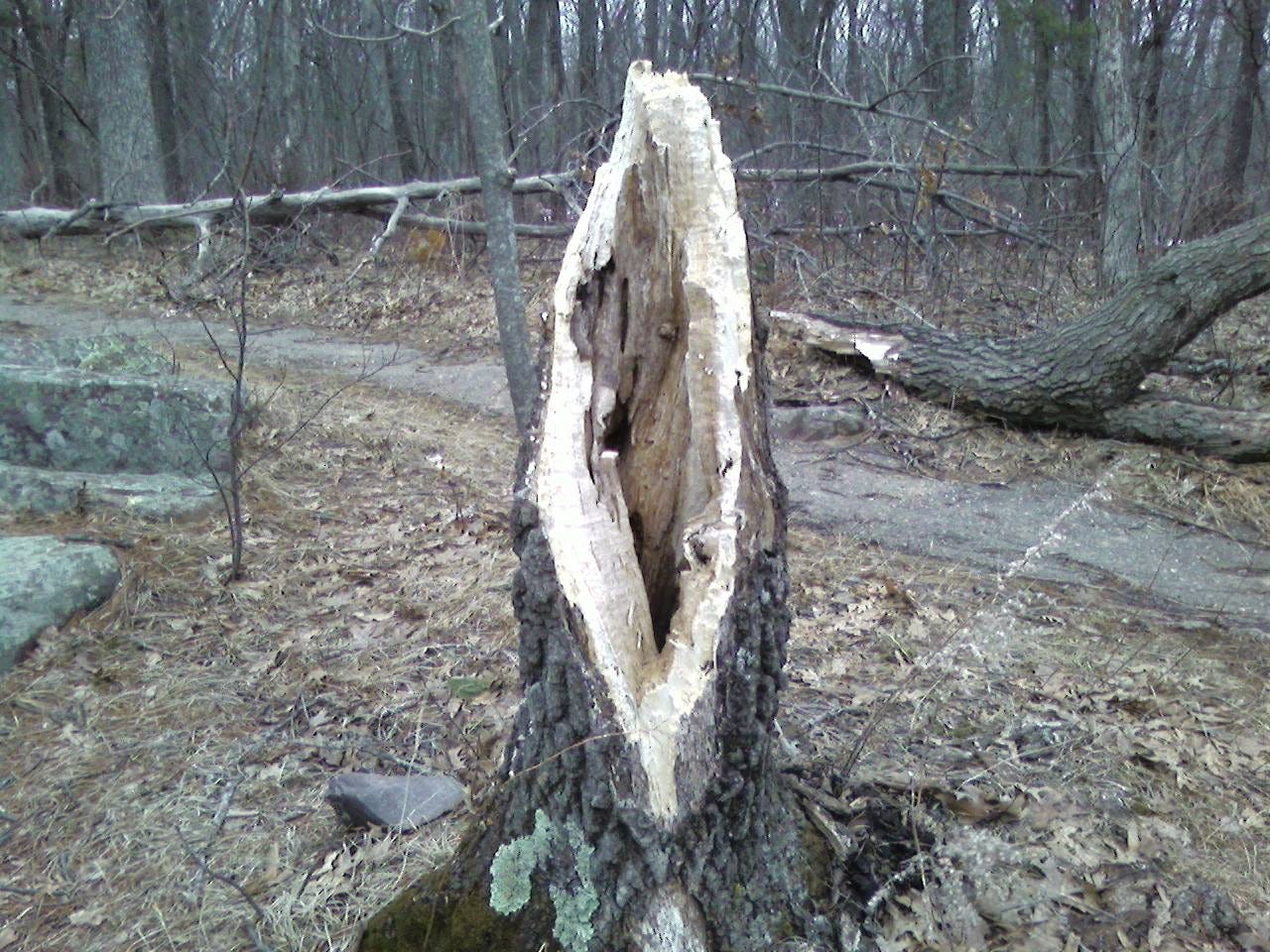 Fear and Death (You Know…Just That Stuff) | by Frederick Weinstein | Medium