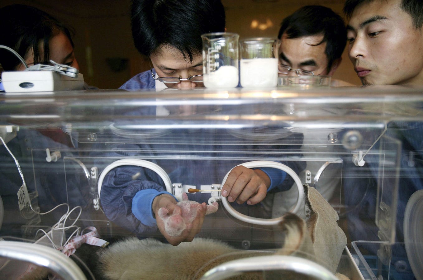 Model Physicist. It was early summer of 2015. I was in… | by Yangyang ...
