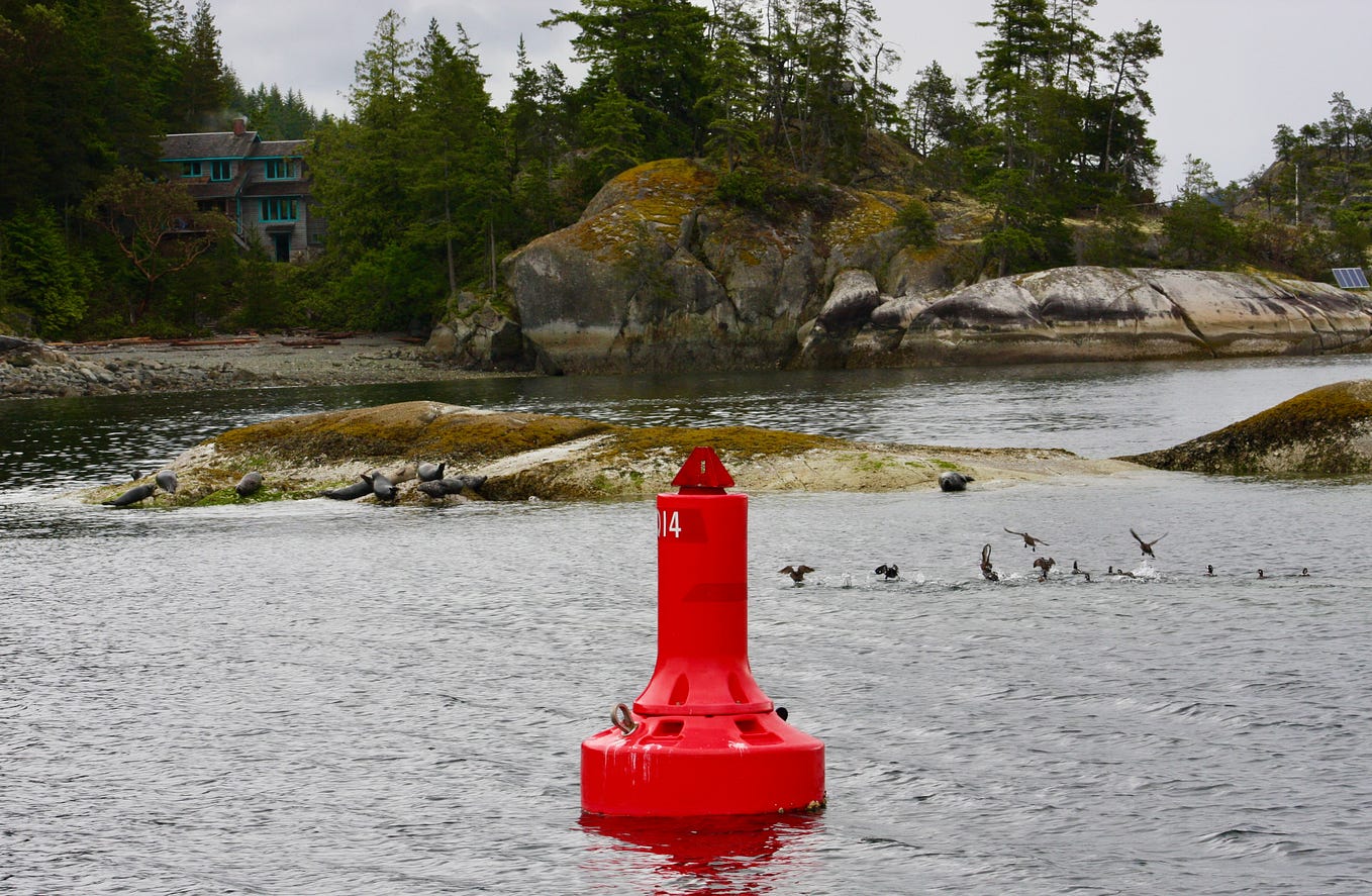 Marched Down a Trail Less Travelled? | by Catherine Oceano | Weeds ...