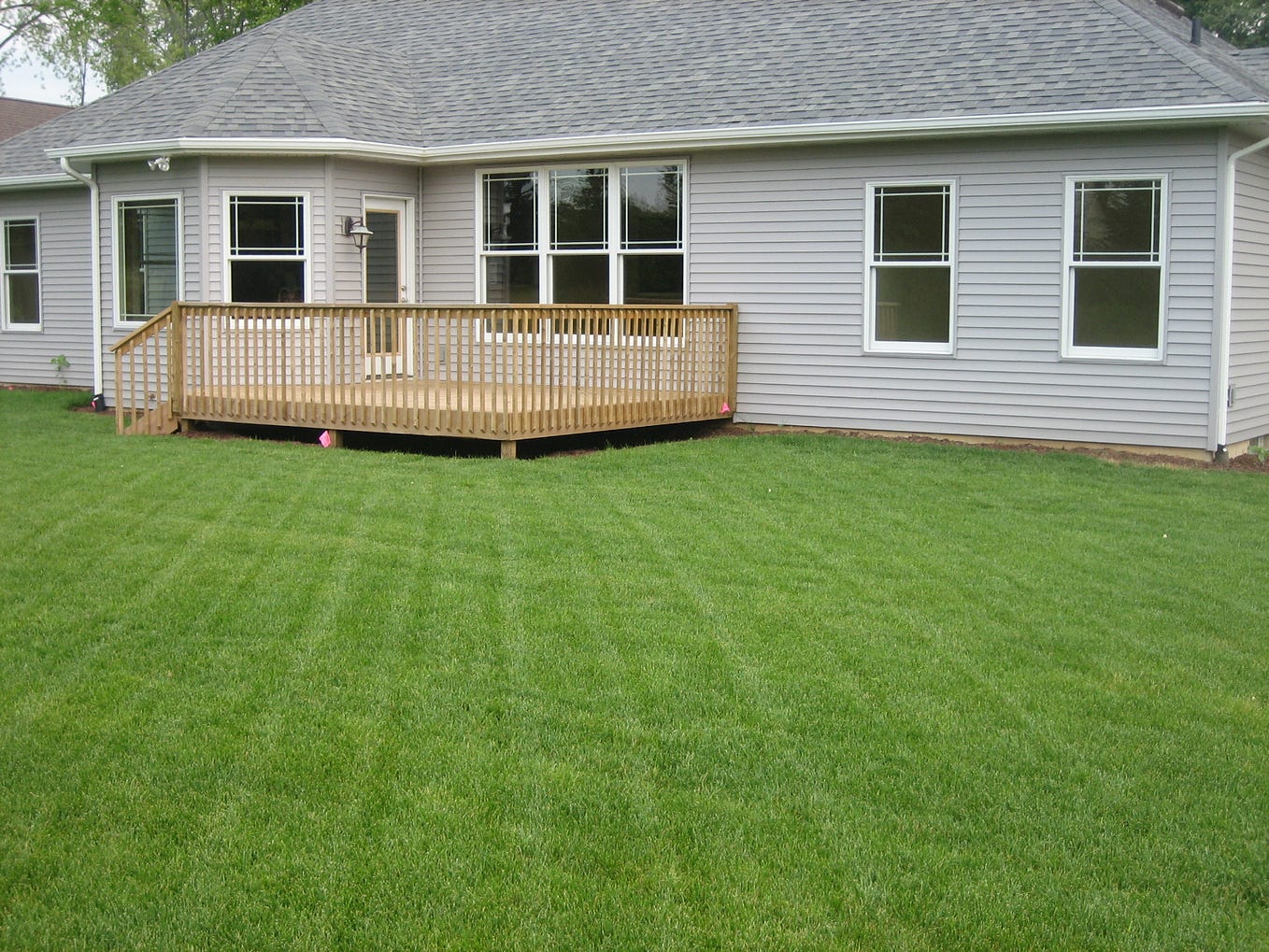 The Ultimate Guide For Understanding Marathon Grass | by sod farms | Medium