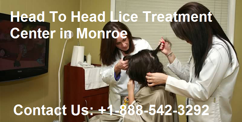 Get the Best Head Lice Removal Services | by Diva James | Medium