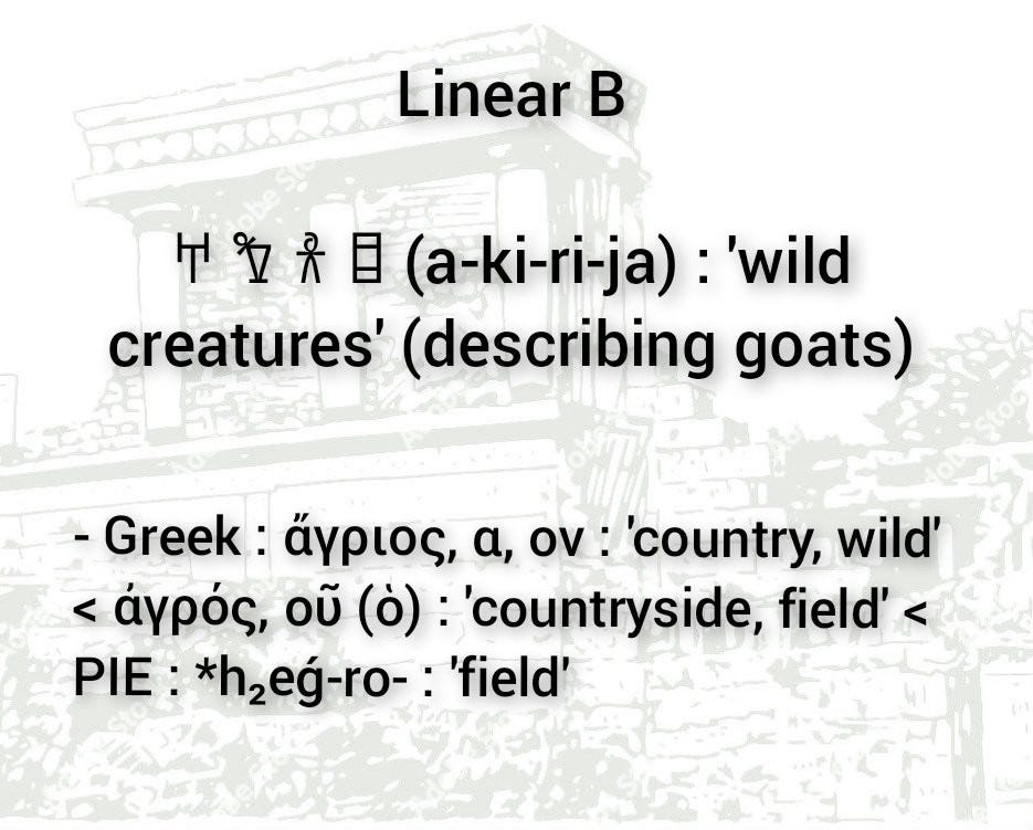 Linear B : 𐀀 𐀒 𐀫 = (a-ko-ro) : 'field' - Greek : ἀγρός, οῦ (ὁ) : ' field'