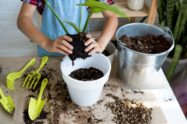 A Beginner’s Guide to Potting Mix for Houseplants | by Keltech Energies ...