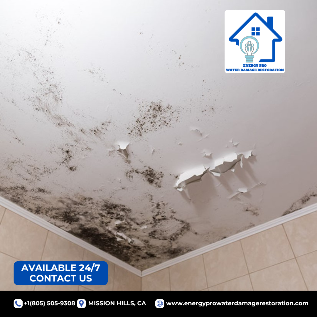 Common Water Damage Issues at Home and What to Look Out For | by Energy ...