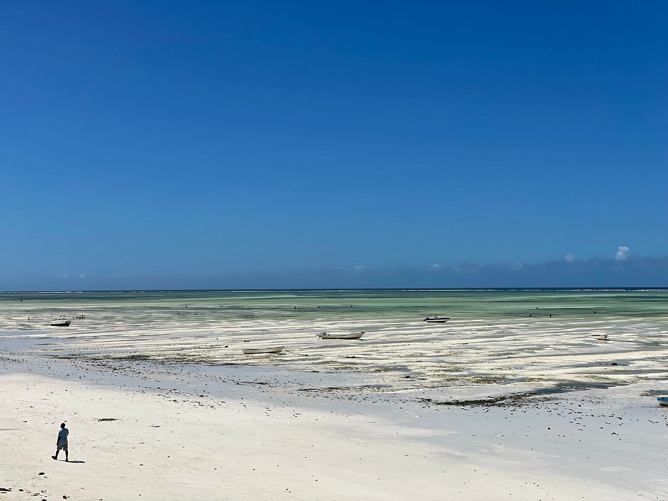 Zanzibar Unveiled: A Solo Traveler’s Paradise in Dongwe and Beyond | by ...