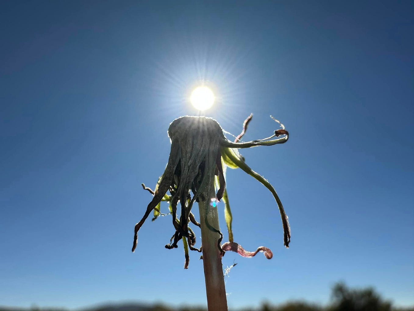 Neurospicy Frame of Mind. Prompt: Paint of picture of your mind | by ...