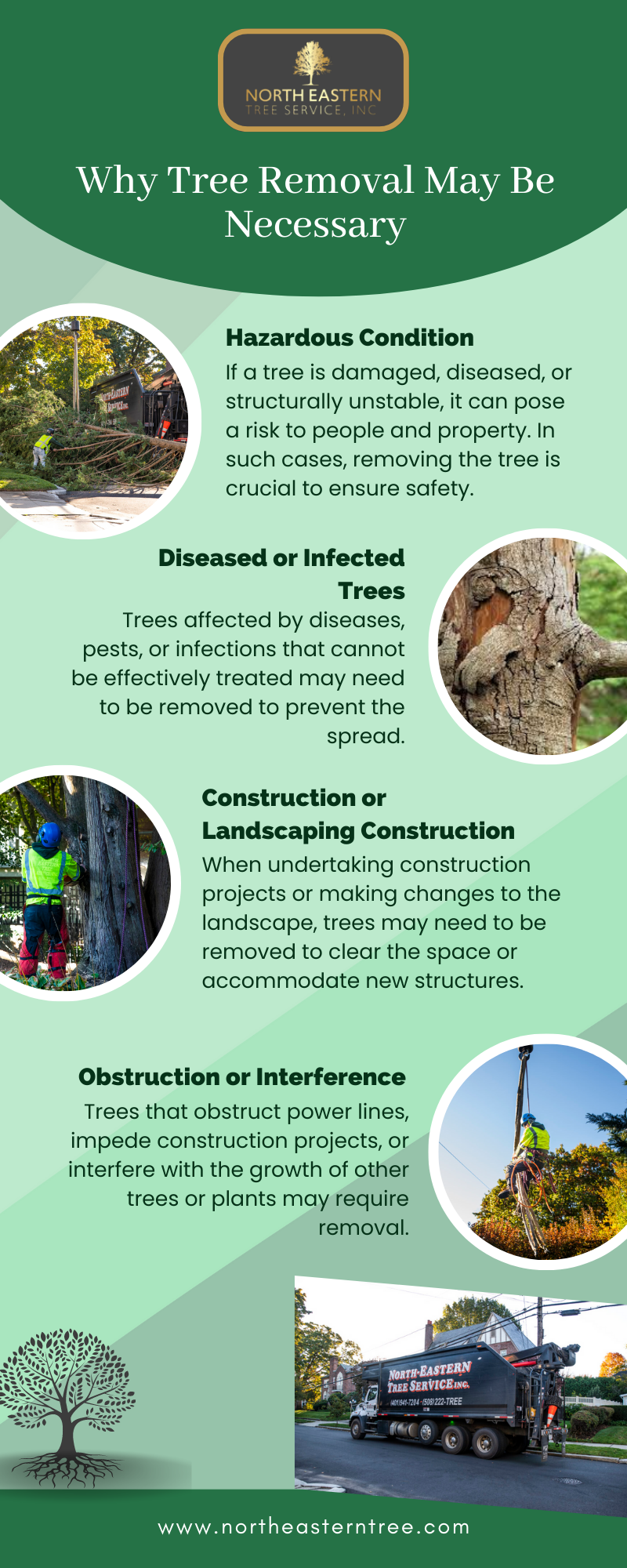 What are the Benefits of Tree Removal | by North Eastern Tree Service | Medium