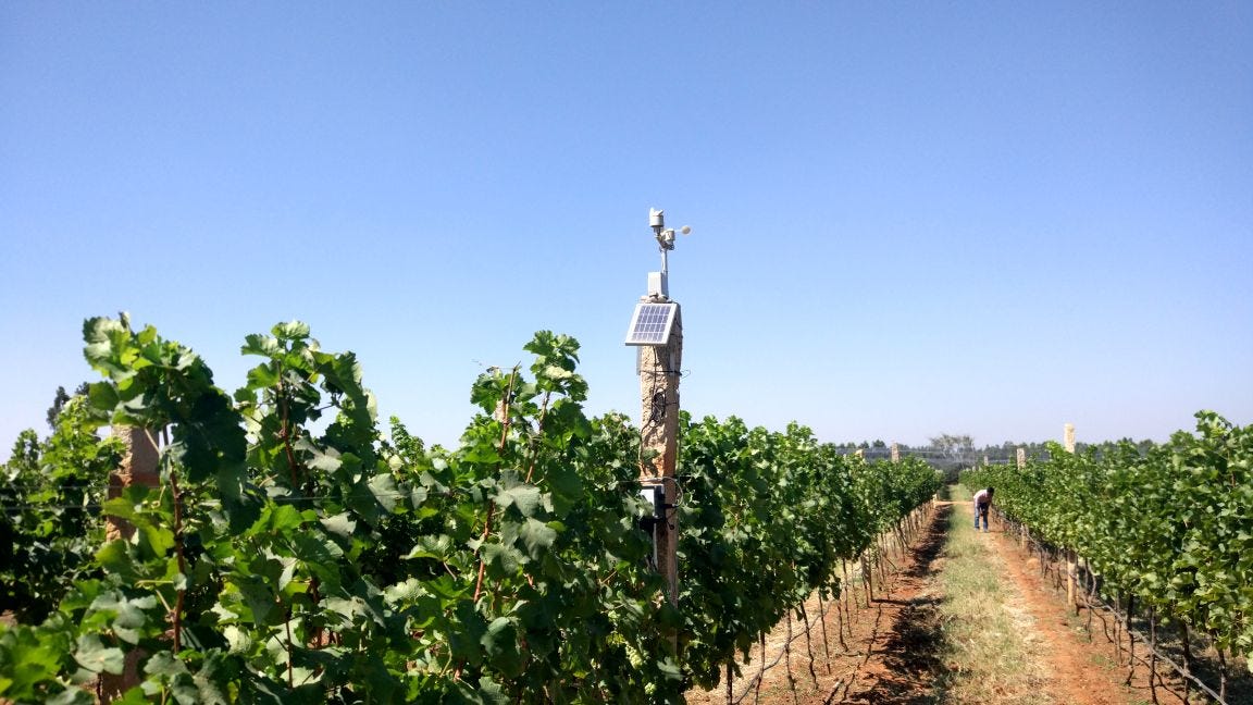 We are coding, Crop is growing. Engineering@Fasal | by Ananda Prakash ...