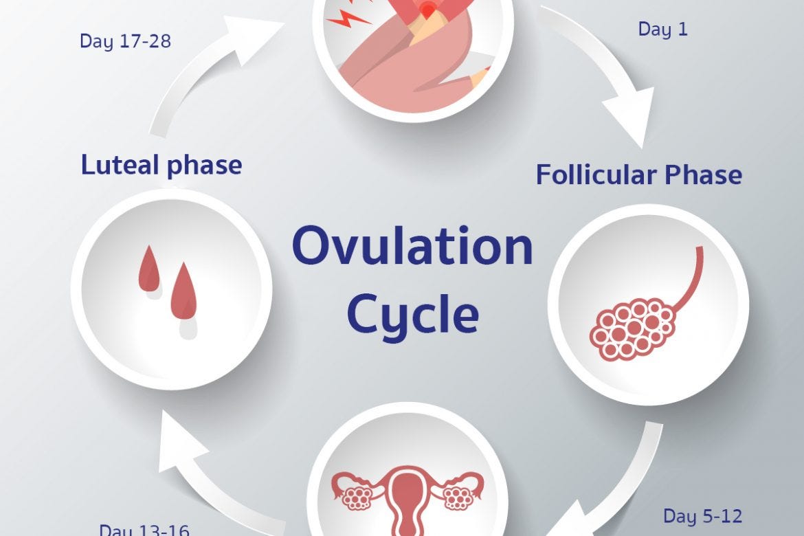 What is intrauterine insemination (IUI) and how does it differ from ...