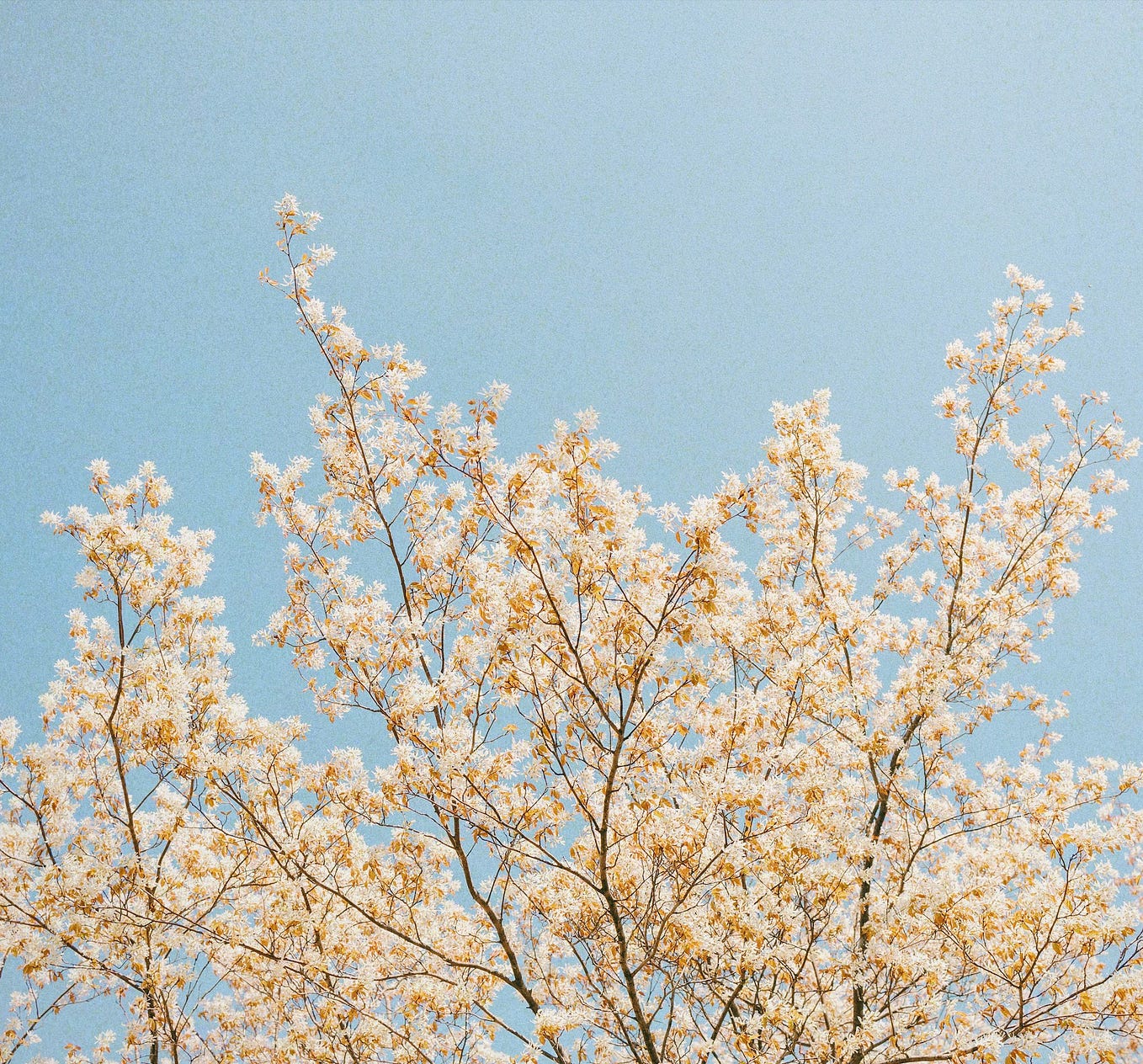 A Camel, A Lion and A Child: What Nietzsche Wants To Tell Us About The ...