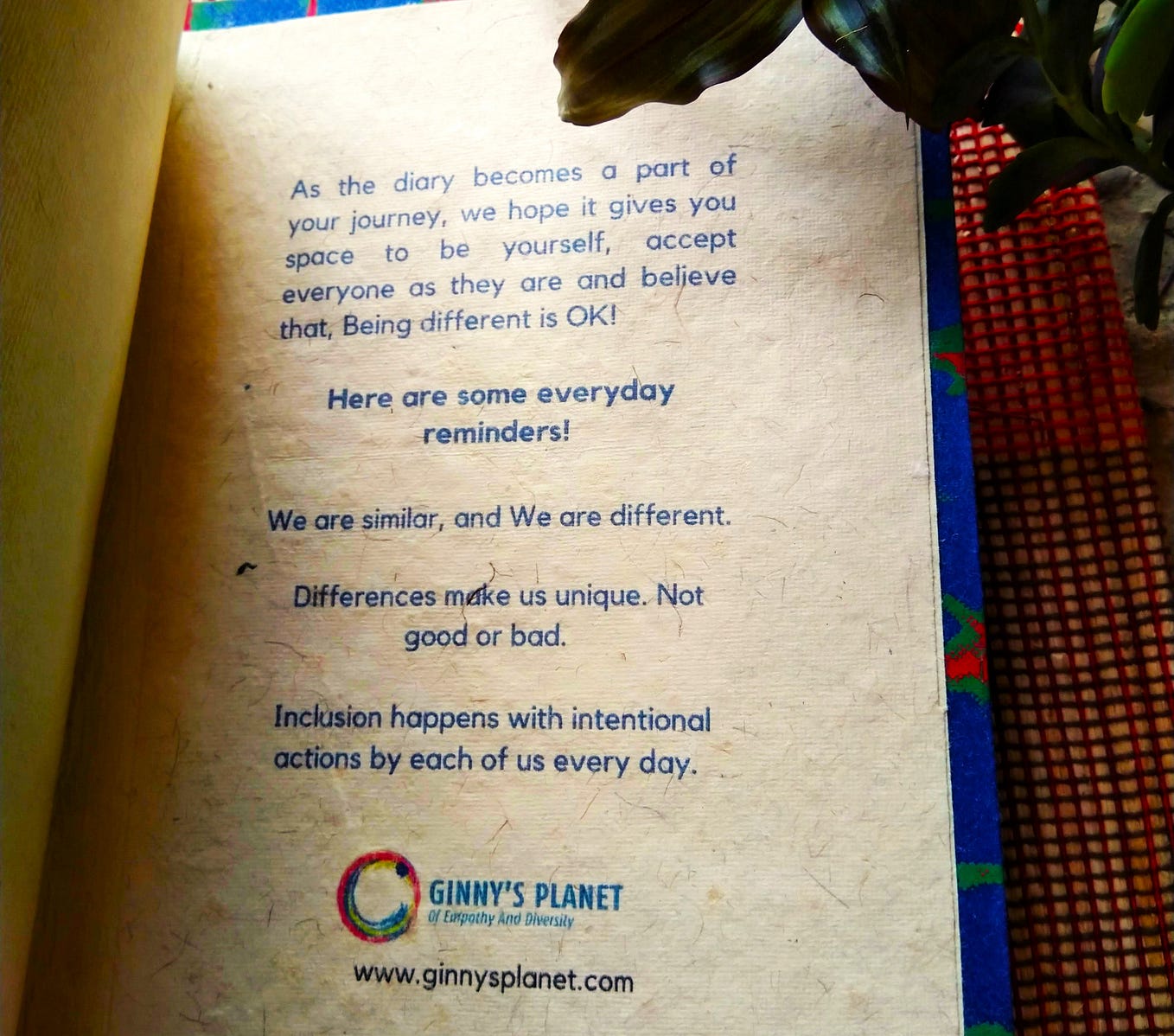 How To Increase The Visibility Of Empathy, Diversity, And Inclusion ...