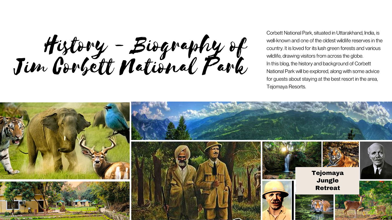 Destination Wedding at Jim Corbett | by Resort in Jim Corbett - Tejomaya Jungle Retreat | May ...